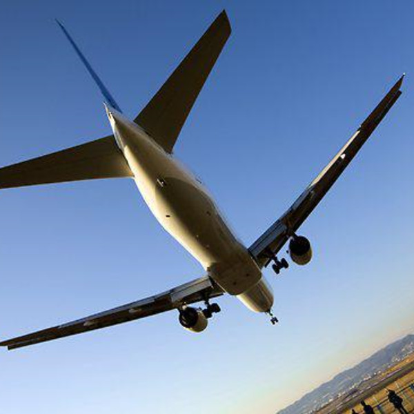 Airline industry Brian Wilson says grog's a daily problem for plane ...