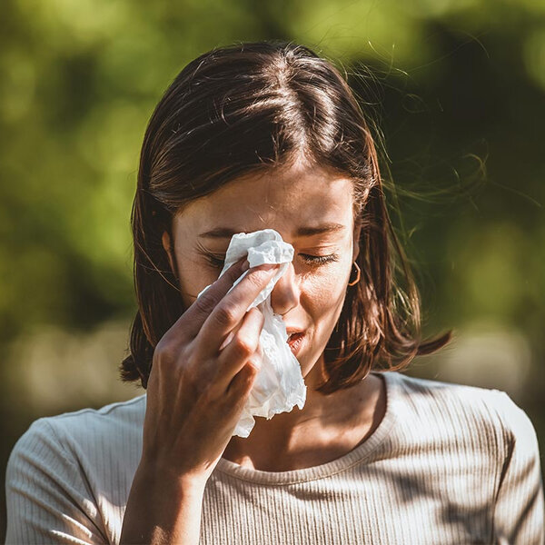Why Melbourne is the world's hayfever capital - 3AW Breakfast with Ross ...