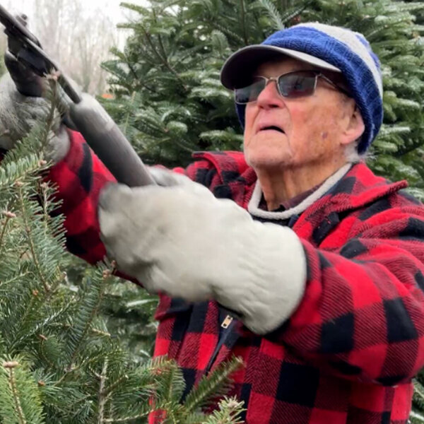 The Morning Rush - Centenarian Christmas tree farmer still working at ...