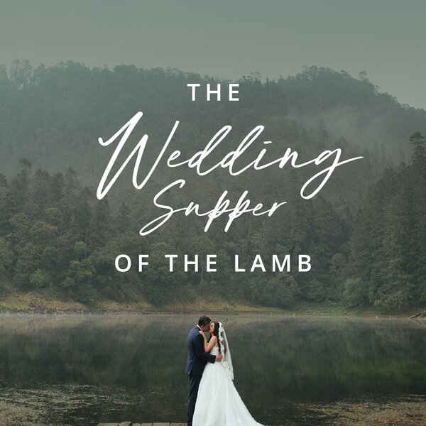 The Wedding Supper of the Lamb - Abide Bible Sleep Meditation - Omny.fm