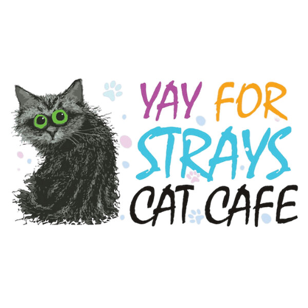 Cat bite incident shuts down local cat cafe - AM 800 CKLW - Omny.fm