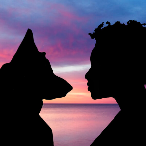 We, The Dog - Audacious with Chion Wolf - Omny.fm