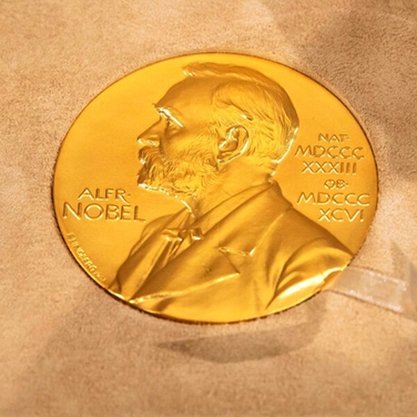 Katie gets a new job and how to win a Nobel Prize - Behind the Story ...