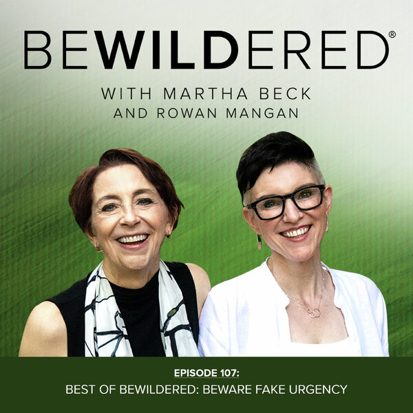 Best of Bewildered: Beware Fake Urgency - Bewildered - Omny.fm