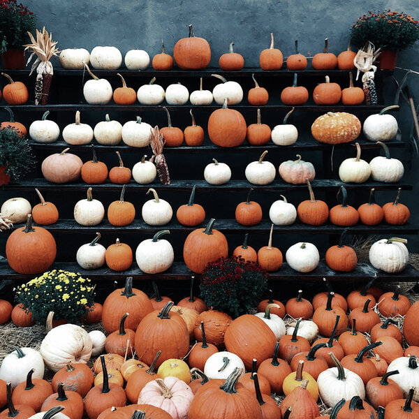 Halloween Safety, SNAP Crisis Averted, Jack Phillips’ Faith Fight ...