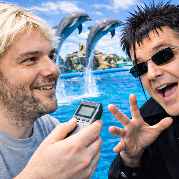 Borízű hang #252: You are a donkey, Mister Kozso! [rövid verzió] - 444 ...