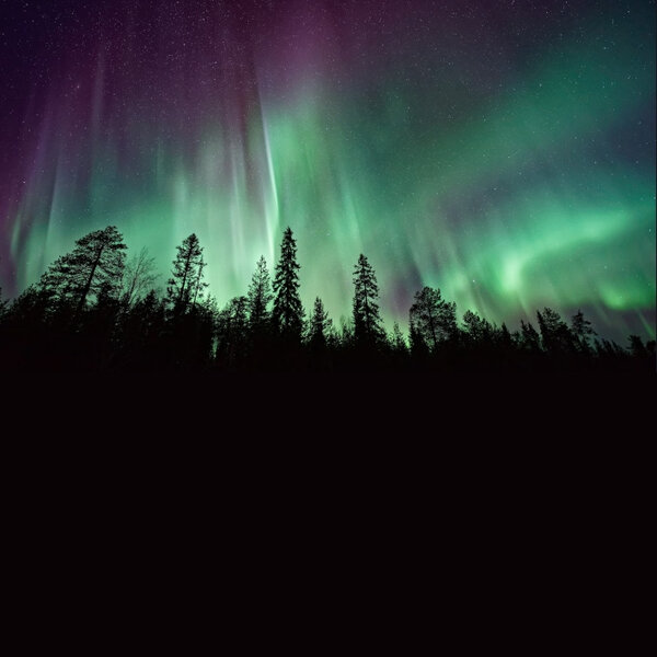 Here's Why 2024 Will Be A Great Year To See The Northern Lights ...