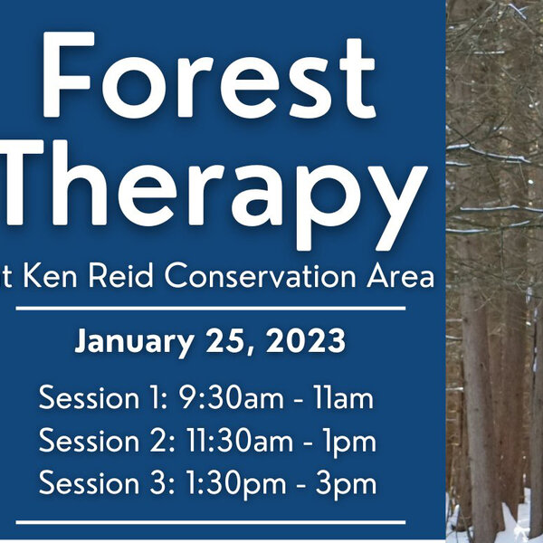 Forest Therapy - This Wednesday January 25th at Ken Reid - BOUNCE 91.9 ...