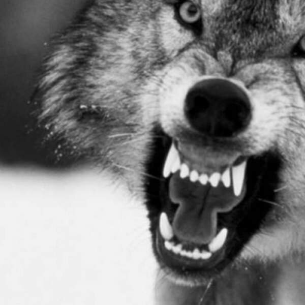 Burning Bitumen - 27 May 2025 - Burning Bitumen - Omny.fm