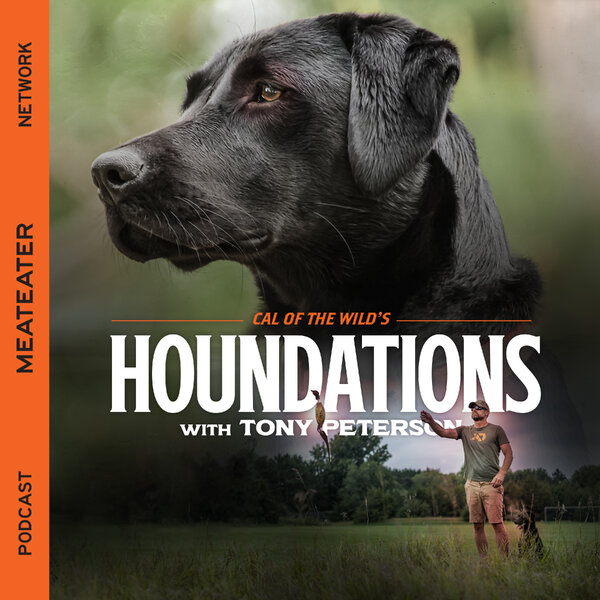 Ep. 445: Houndations - How to Truly Understand Your Dog's Sniffer to be ...