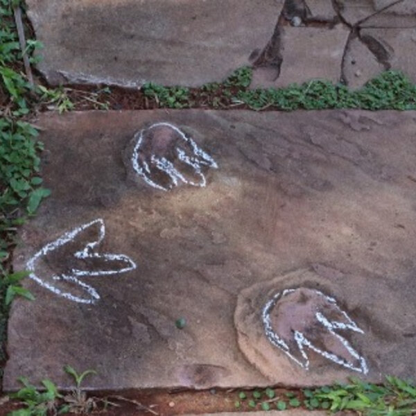 Pegadas de dinossauros: entenda como elas foram parar nas calçadas de ...