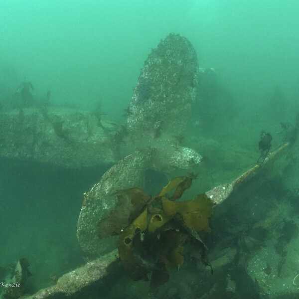 A Rare Dive Into Canada’s Sunken Past off Victoria’s Harbour - CFAX ...