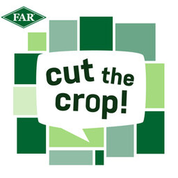 Insights from US no-till and maize growing - Cut the Crop! - Omny.fm