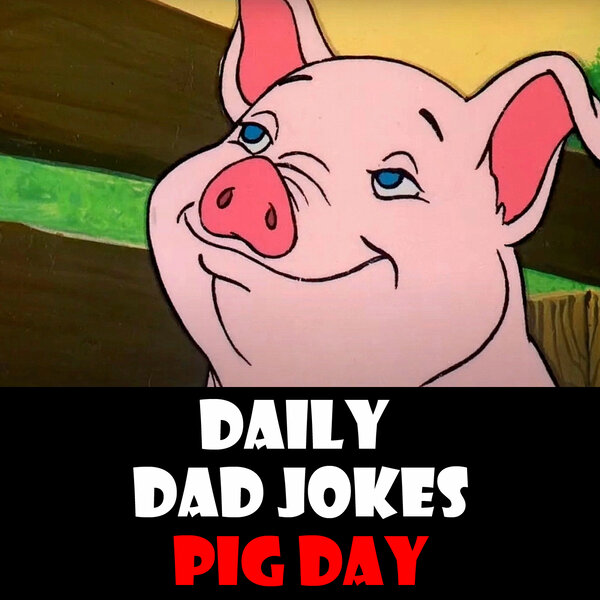 National Pig Day! Ham it up with these dad jokes! 01 March 2024 - Daily ...