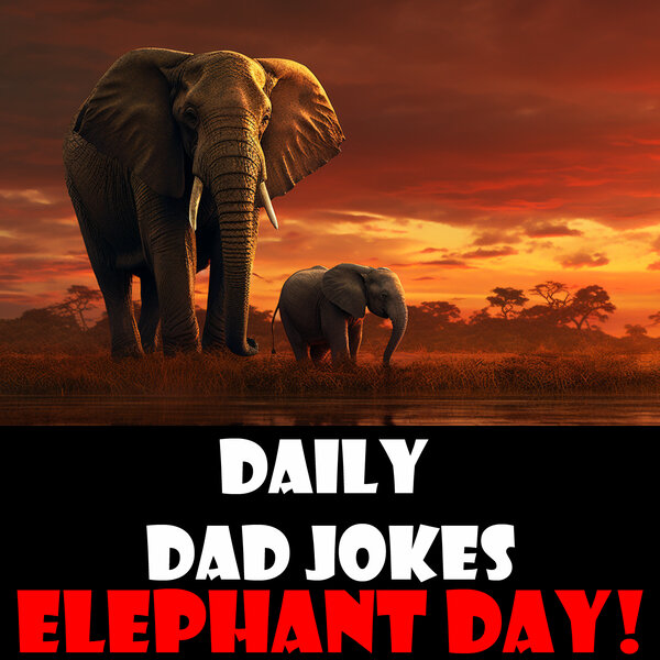 World Elephant Day! Stampede through these dad jokes! 12 August 2023 ...