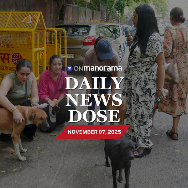 SC orders removal of stray animals from national highways – What is the ...