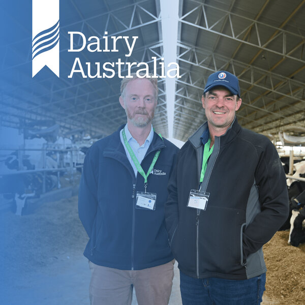 Shaping Dairy Australia’s strategic plan - DairyPod - Omny.fm