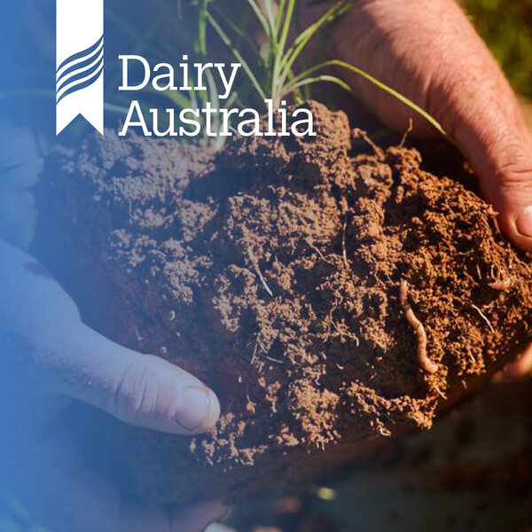 Soil nutrient management: What you need to know - DairyPod - Omny.fm