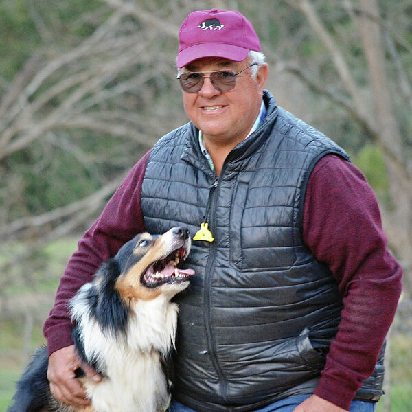 Die waarde van ’n skaaphond - Driesestig - Omny.fm