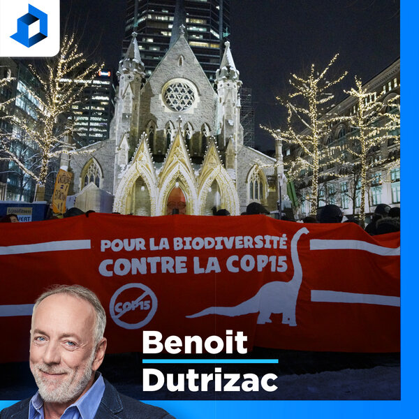 COP15 : il faudra plus, mentionne Marie-Josée Béliveau - Benoit ...