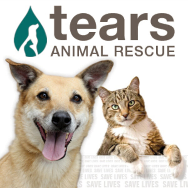 TEARS Animal Rescue paying it forward - Early Breakfast with Africa ...