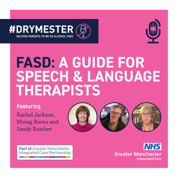 FASD: A Guide for Speech & Language Therapists - FASD: A Guide for ...