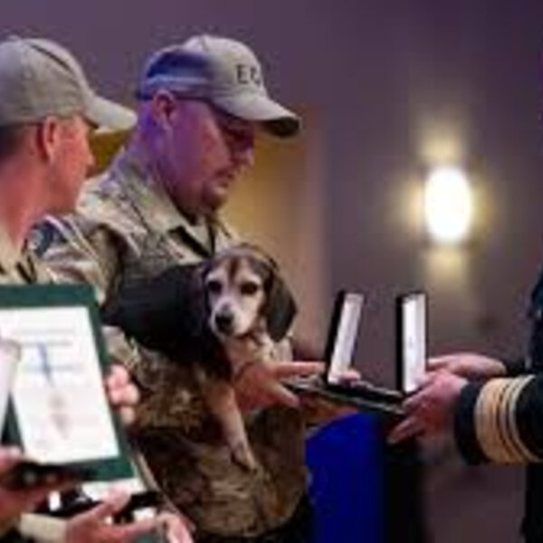 Nearly 50 ECSO 'heroes' recognized for gallantries and achievements ...