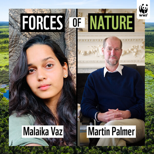 Prince Philip + religion, with Malaika Vaz and Martin Palmer - Forces ...