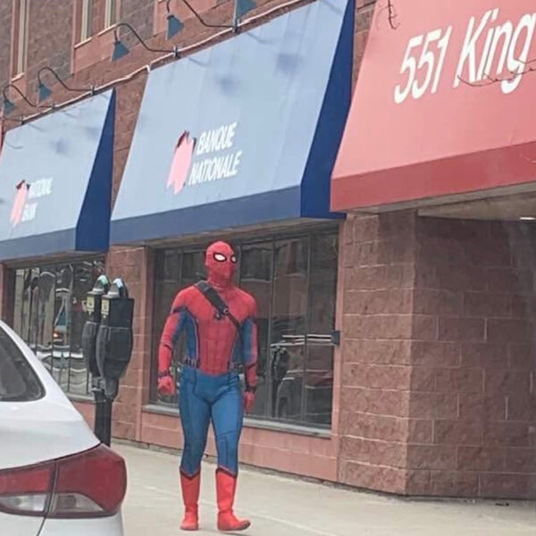 Fredericton's friendly neighbourhood Spider-Man, Yes we have our own ...