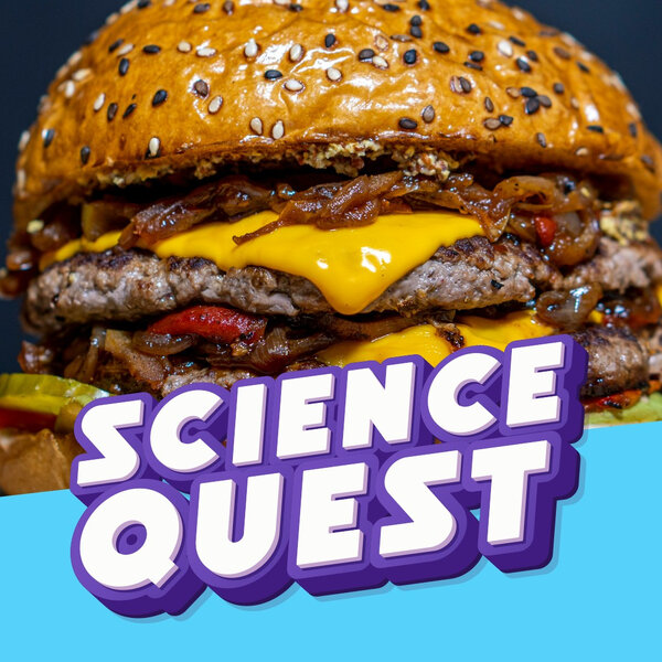 Why Does Food Taste Better When We’re Hungry?😋🍔 - Fun Kids Science ...