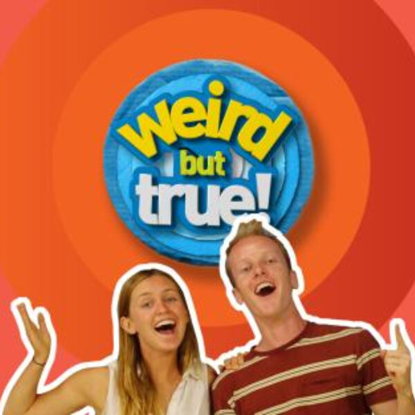 'Weird But True' Stars Charlie & Carly Chat To Dan! - Fun Kids - Omny.fm