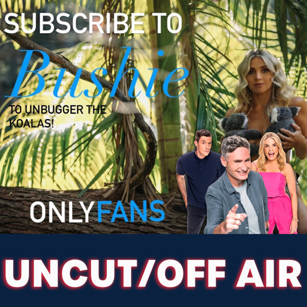 UNCUT/OFF AIR - Comedian turns to Only Fans for the KOALAS - Hughesy Ed ...