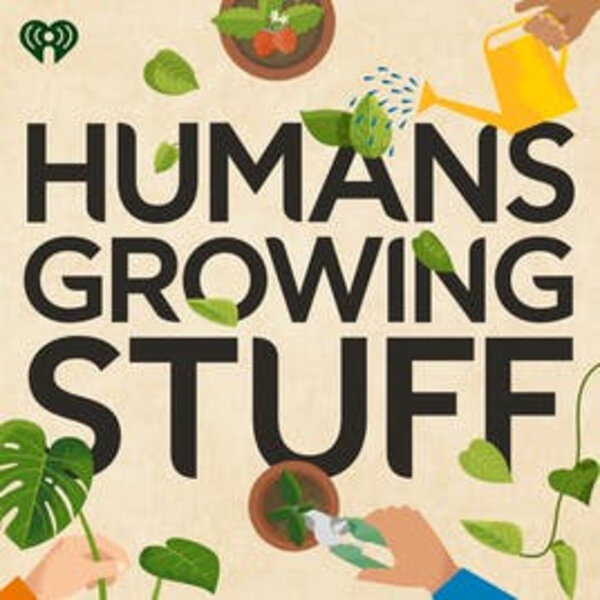 The Mental Health Benefits of Plants - Humans Growing Stuff - Omny.fm