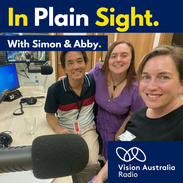 Art for All: Discover Perth Festival - In Plain Sight by Vision ...