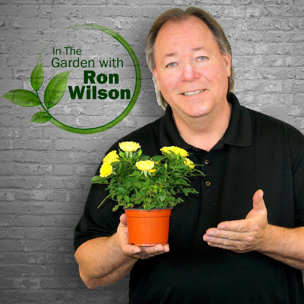 Ron chats with Katie Stagliano 12/20/2025 - In The Garden with Ron ...