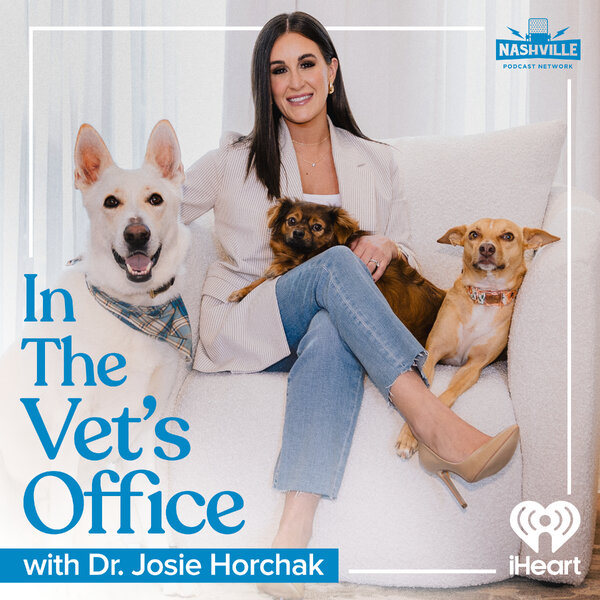 Doug The Pug: The OG Dog Celebrity - In The Vet's Office with Dr. Josie ...