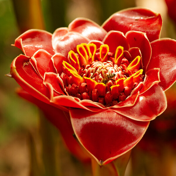 What Fasting Adds to Prayer - In Touch Ministries Daily Devotions - Omny.fm