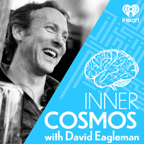 Ep120 "Will AI build us into better humans?" - Inner Cosmos with David ...