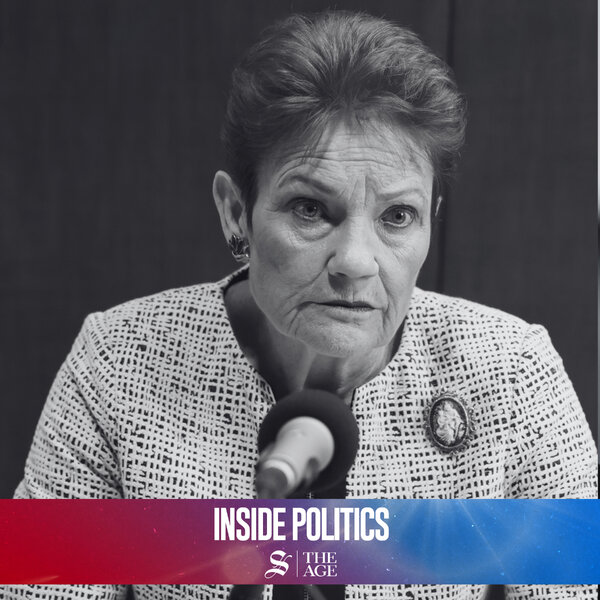 ‘Don’t say it’s a protest vote’: Pauline Hanson on One Nation’s ...