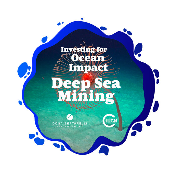 1. What is Deep Sea Mining? - Investing For Ocean Impact - Omny.fm
