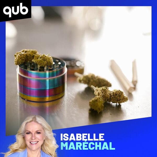 «Le cannabis ne serait pas légal si je n’avais pas fait les démarches à ...