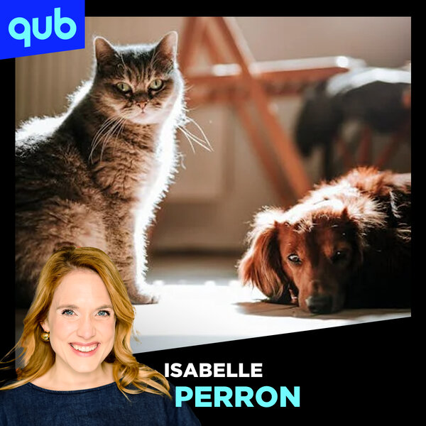 «En janvier, on fait l’erreur de penser qu’un animal, c’est un bon ...