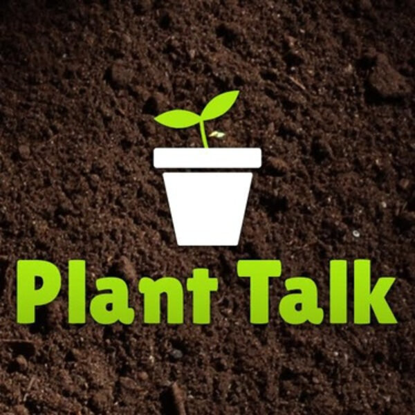 Plant Talk with Dave Decock - 1st Episode of 2024! - It Takes 2 with ...