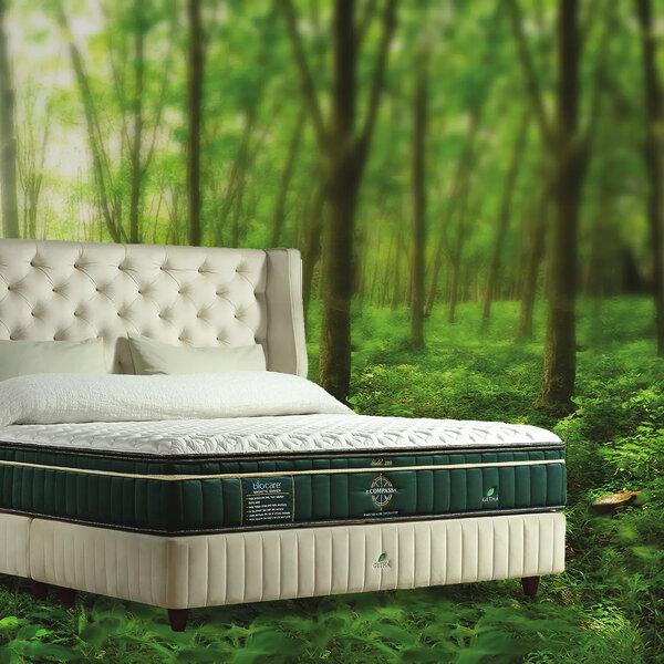 三代家族企业品牌化经营 Gethá 多渠推天然乳胶床褥 - 开门见商 - Omny.fm