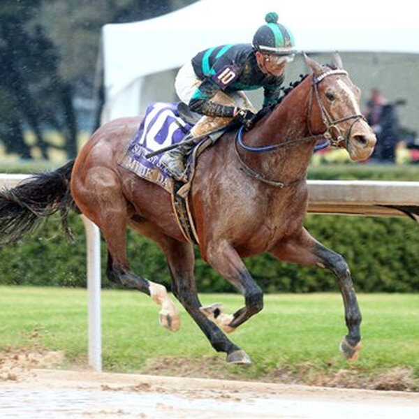 Racing Returns: Nancy Holthus Gives Her Southwest Stakes Picks ...