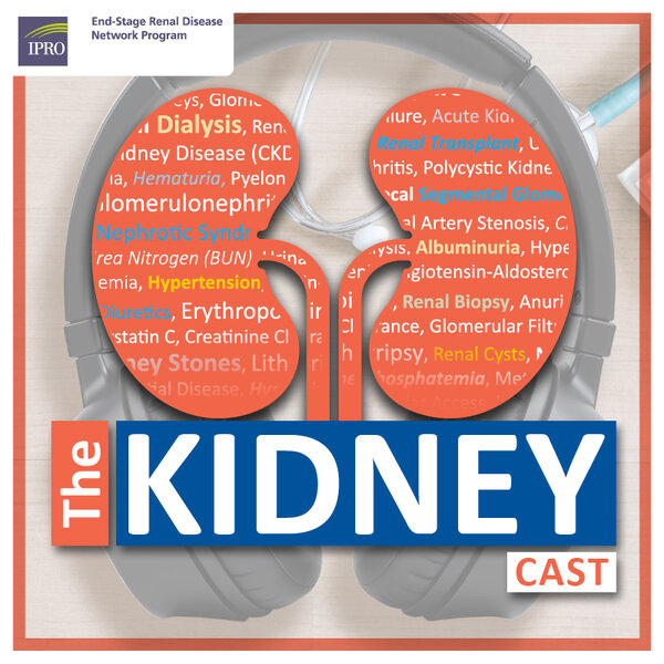 Kidney Cast S1 E3_V2 How to Plan for Emergencies - The Kidney Cast ...