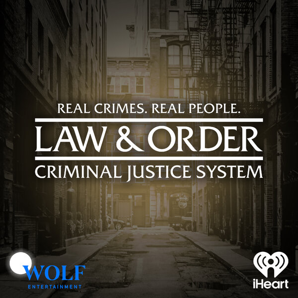 2 - Shadows and Surveillance - Law & Order: Criminal Justice System ...