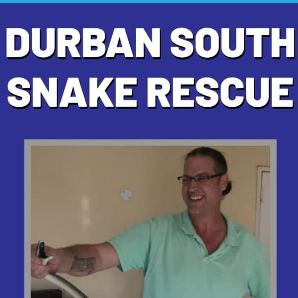 #PODCAST Hyper-vigilance urged as experts say venomous snake sightings ...
