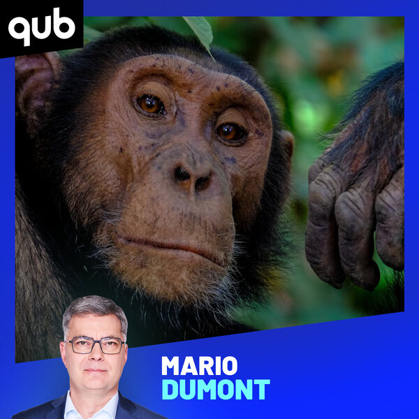 Jane Goodall: l’étude des primates donnera toujours plus de questions ...