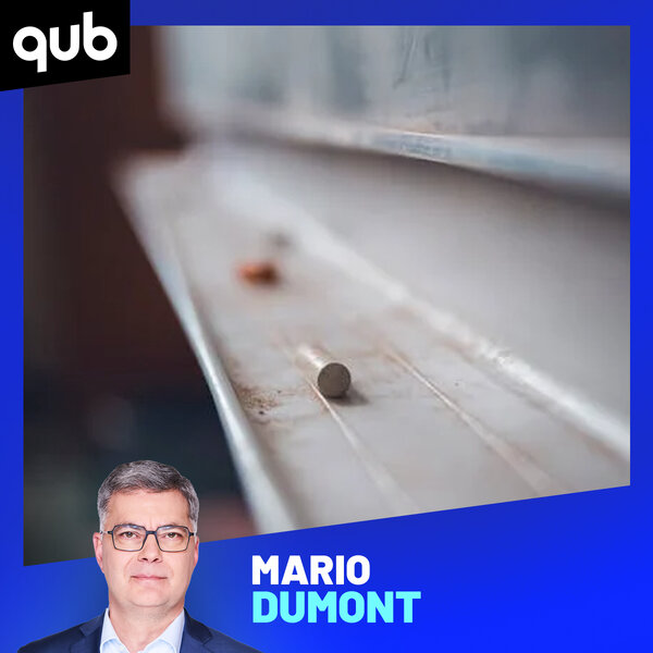 Vouvoiement: «La distance fait partie d’un certain respect», affirme ...